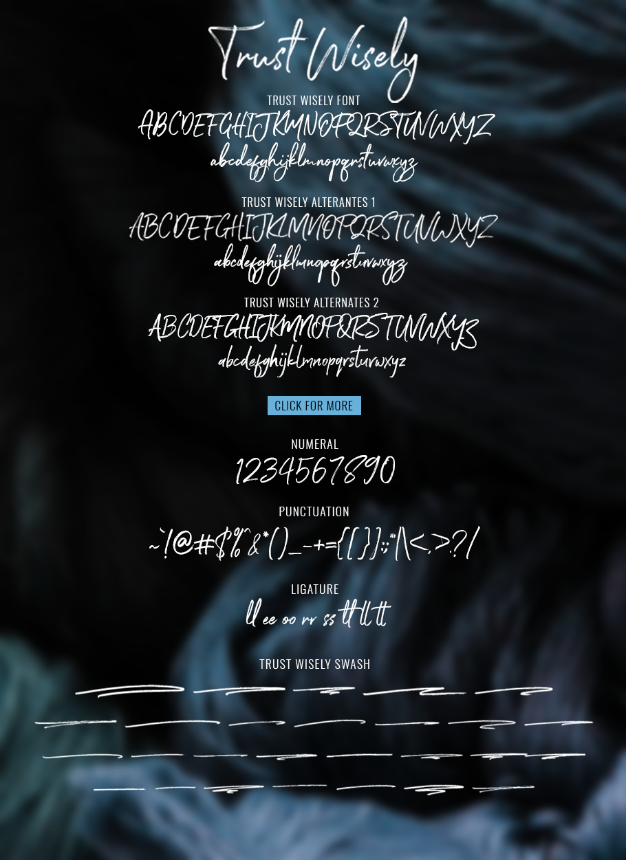 Trust Wisely Handwritten Fonts, Fonts | GraphicRiver